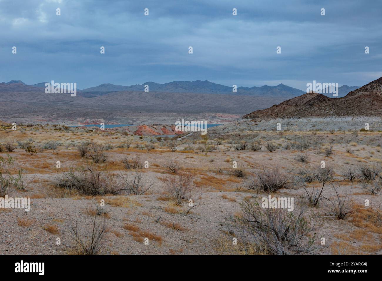 Echo wash drains into the Overton Arm of Lake Mead at Echo Bay, Nevada ...