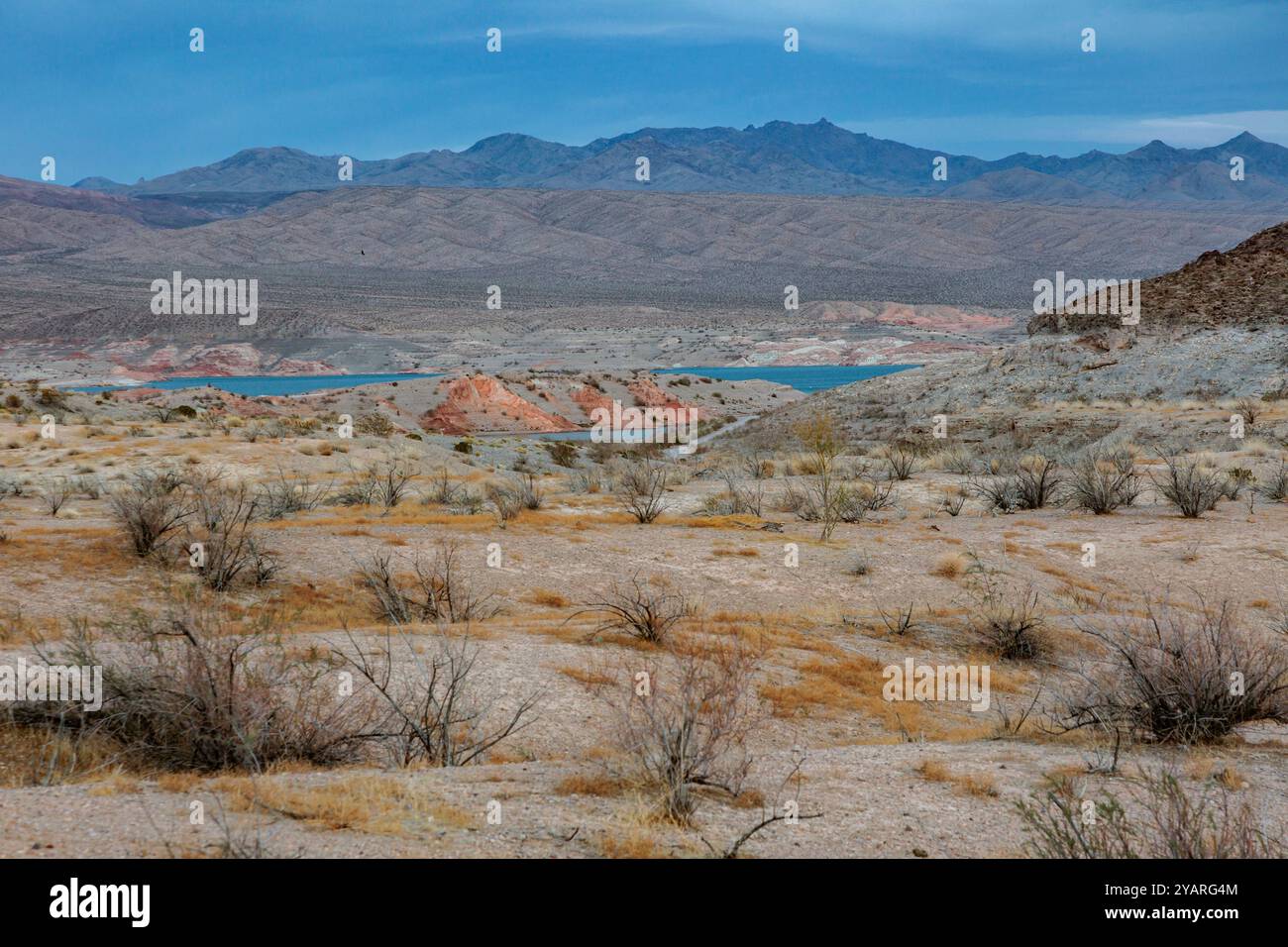 Echo wash drains into the Overton Arm of Lake Mead at Echo Bay, Nevada ...