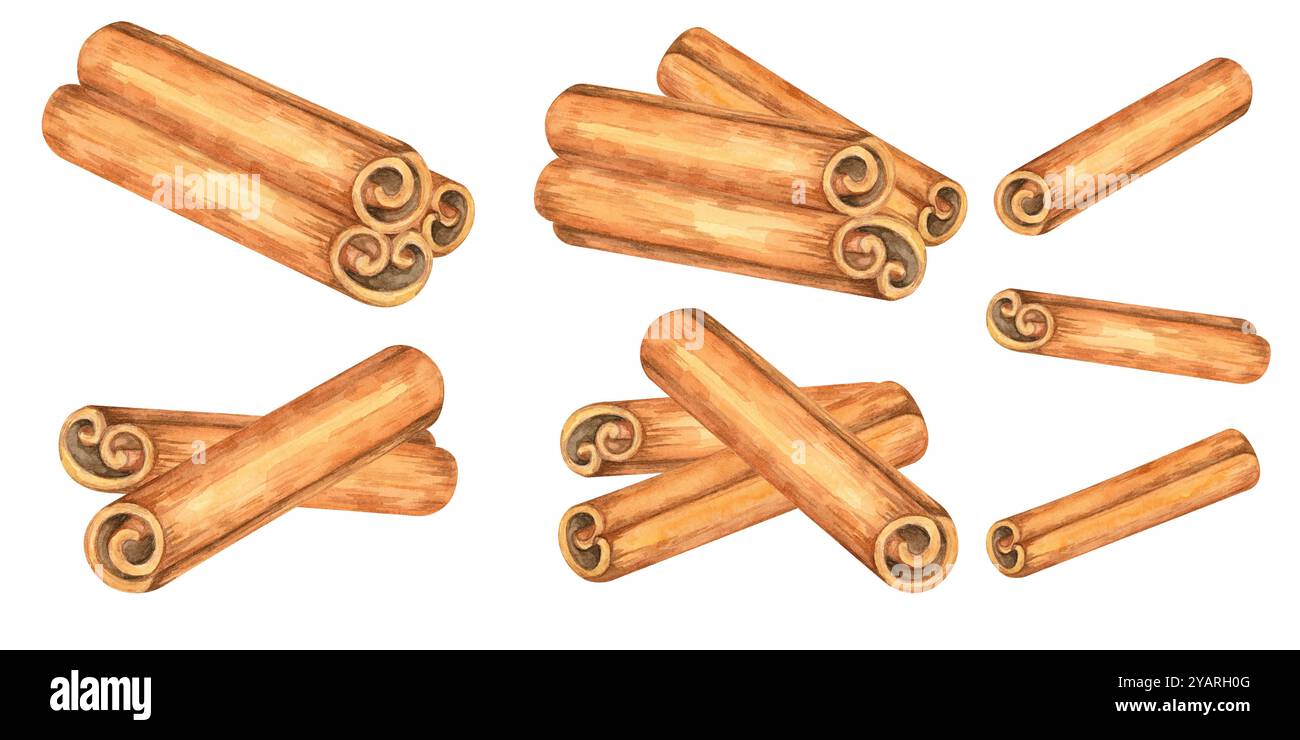Variety of cinnamon sticks in different arrangements. Spices for baking ...