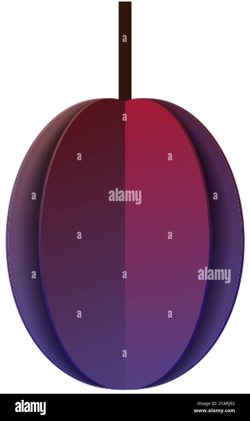 Whole plum fruit vector illustration prune icon Stock Vector Image ...