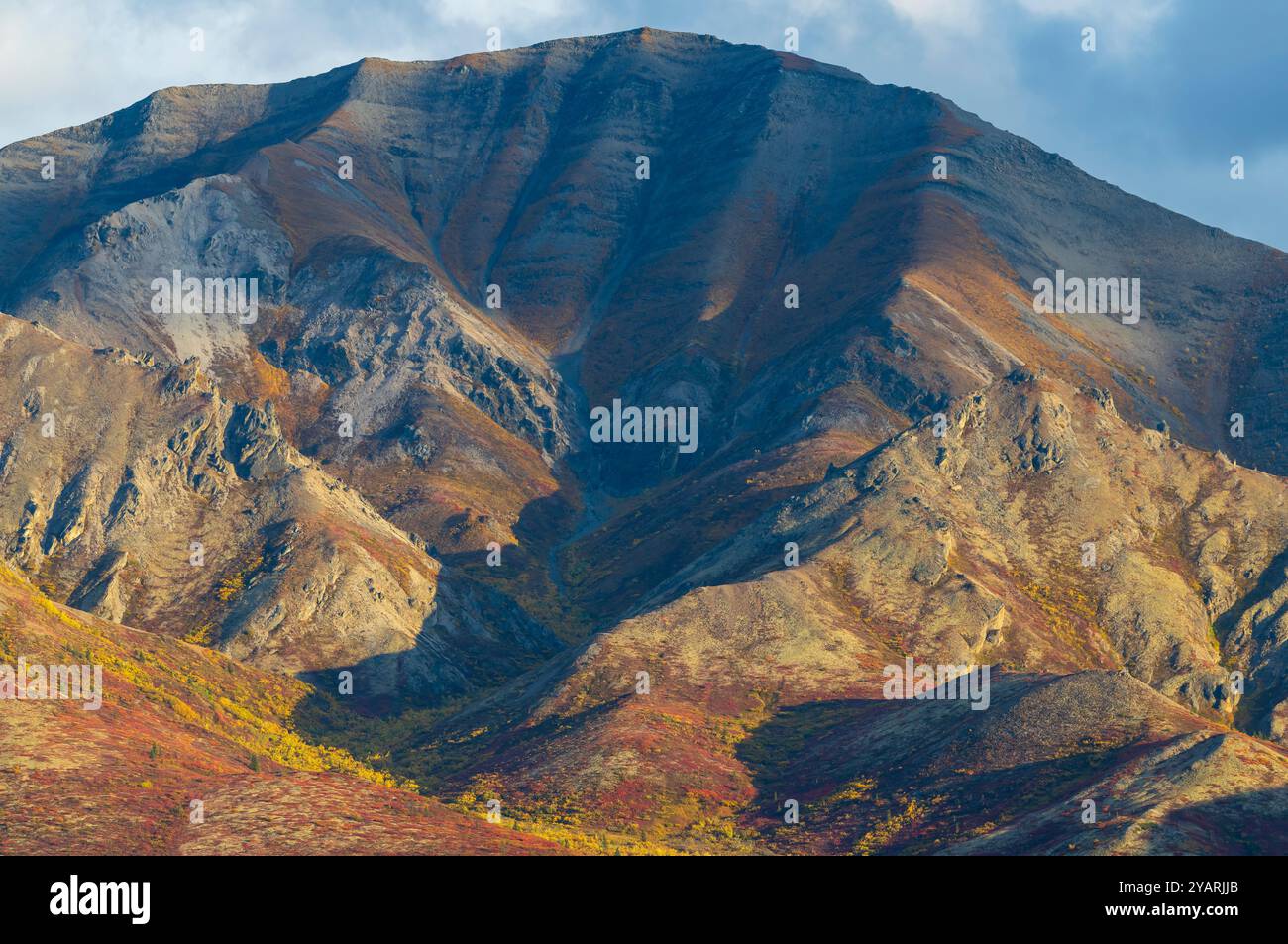 Scenic Denali National Park Alaska Landscape in Autumn Stock Photo - Alamy