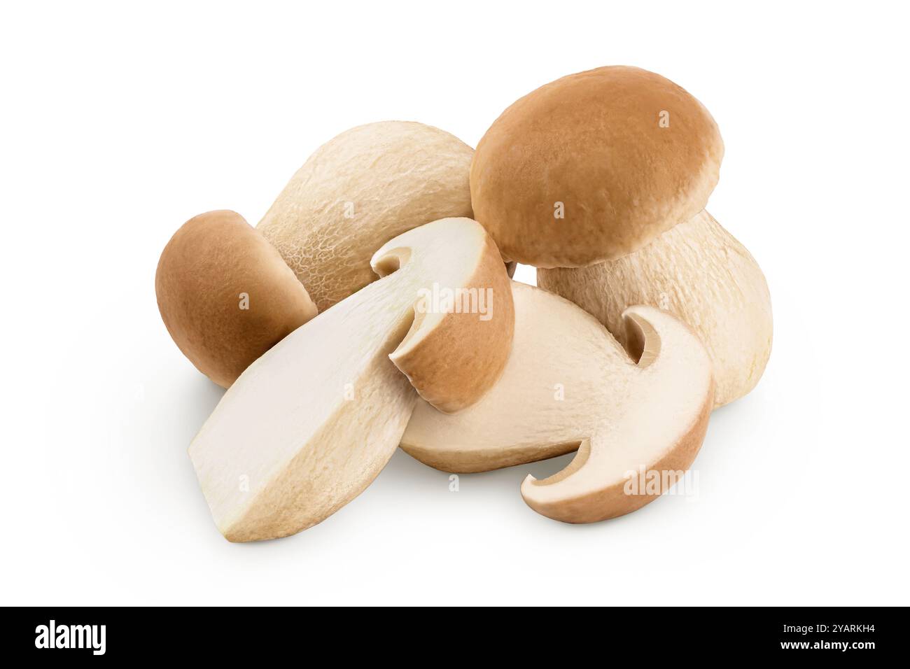 Fresh porcini cep mushroom isolated on white background with full depth ...