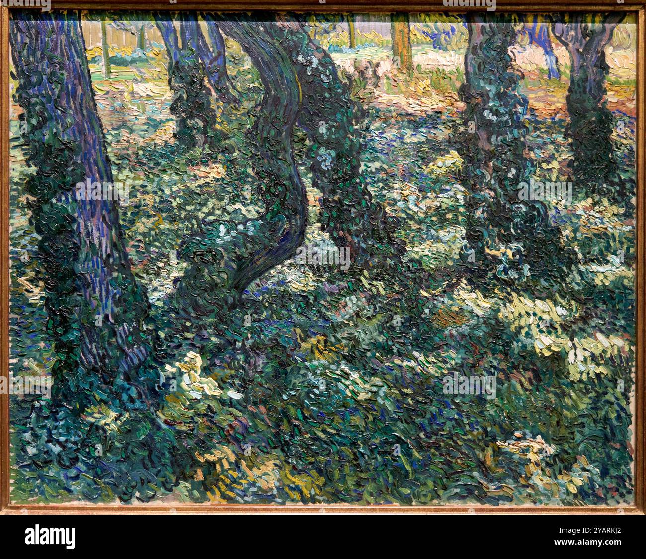 Undergrowth, 1889, Vincent Van Gogh (1853-1890), Poets & Lovers Exhibition, National Gallery ...