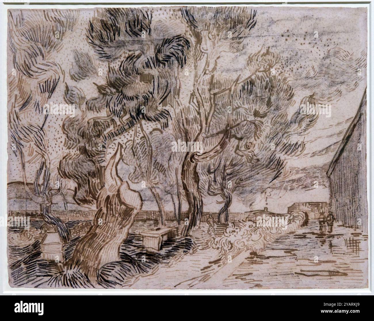 The Garden of the Asylum with Sawn-Off Tree, 1889, Vincent Van Gogh ...