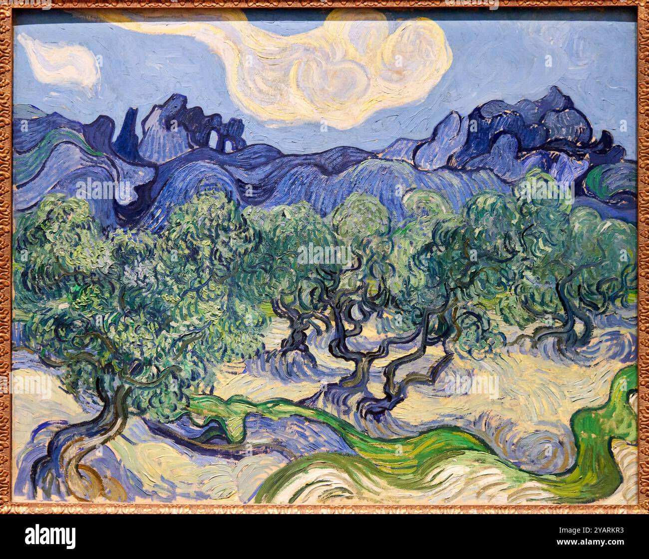 The Olive Trees, 1889, Vincent Van Gogh (1853-1890), Poets & Lovers ...