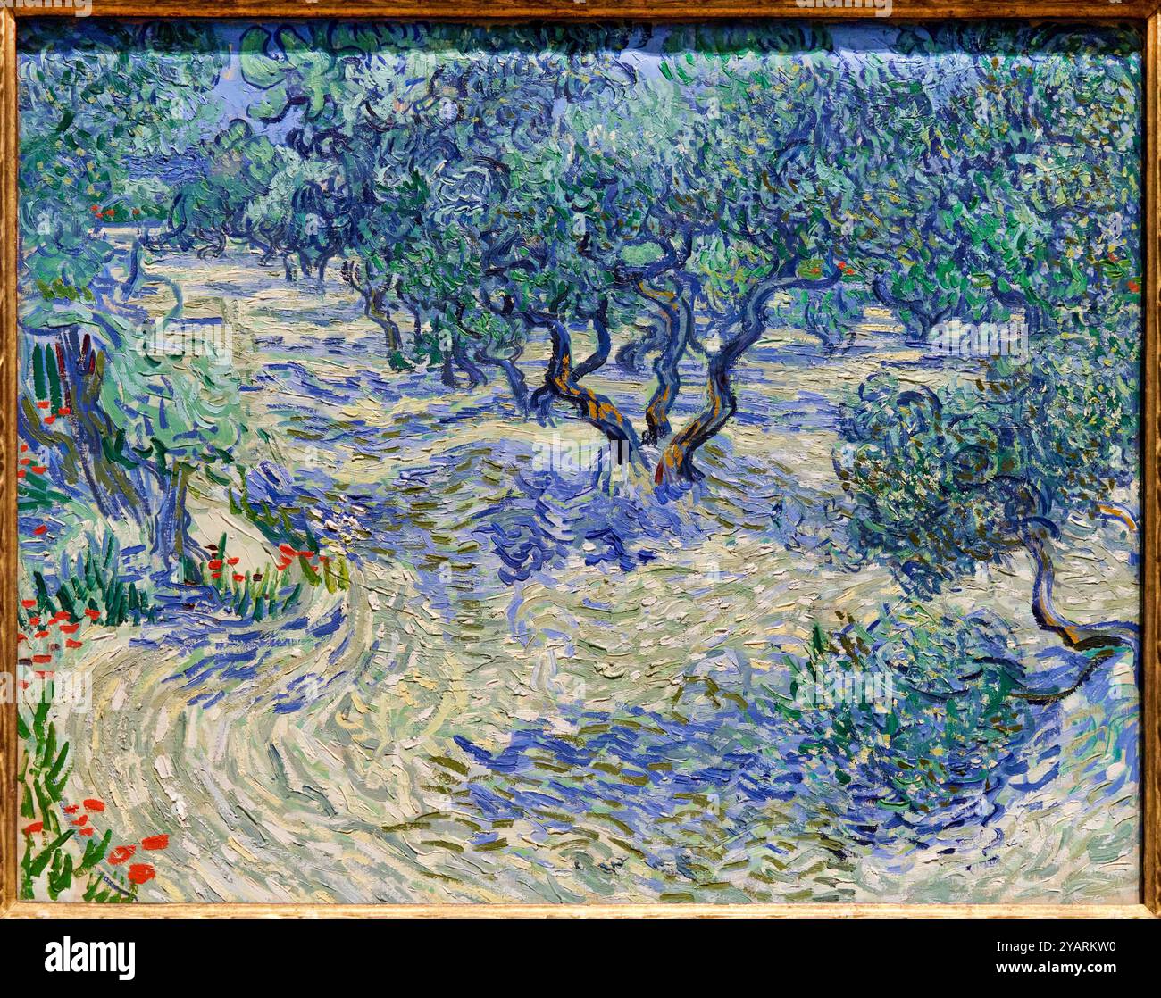 The Olive Trees, 1889, Vincent Van Gogh (1853-1890), Poets & Lovers ...