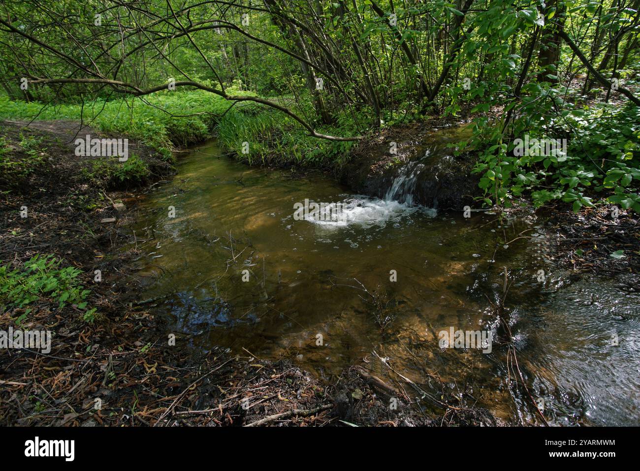 Amazing energetic flow of Stream in Mitino landscape park - powerful ...