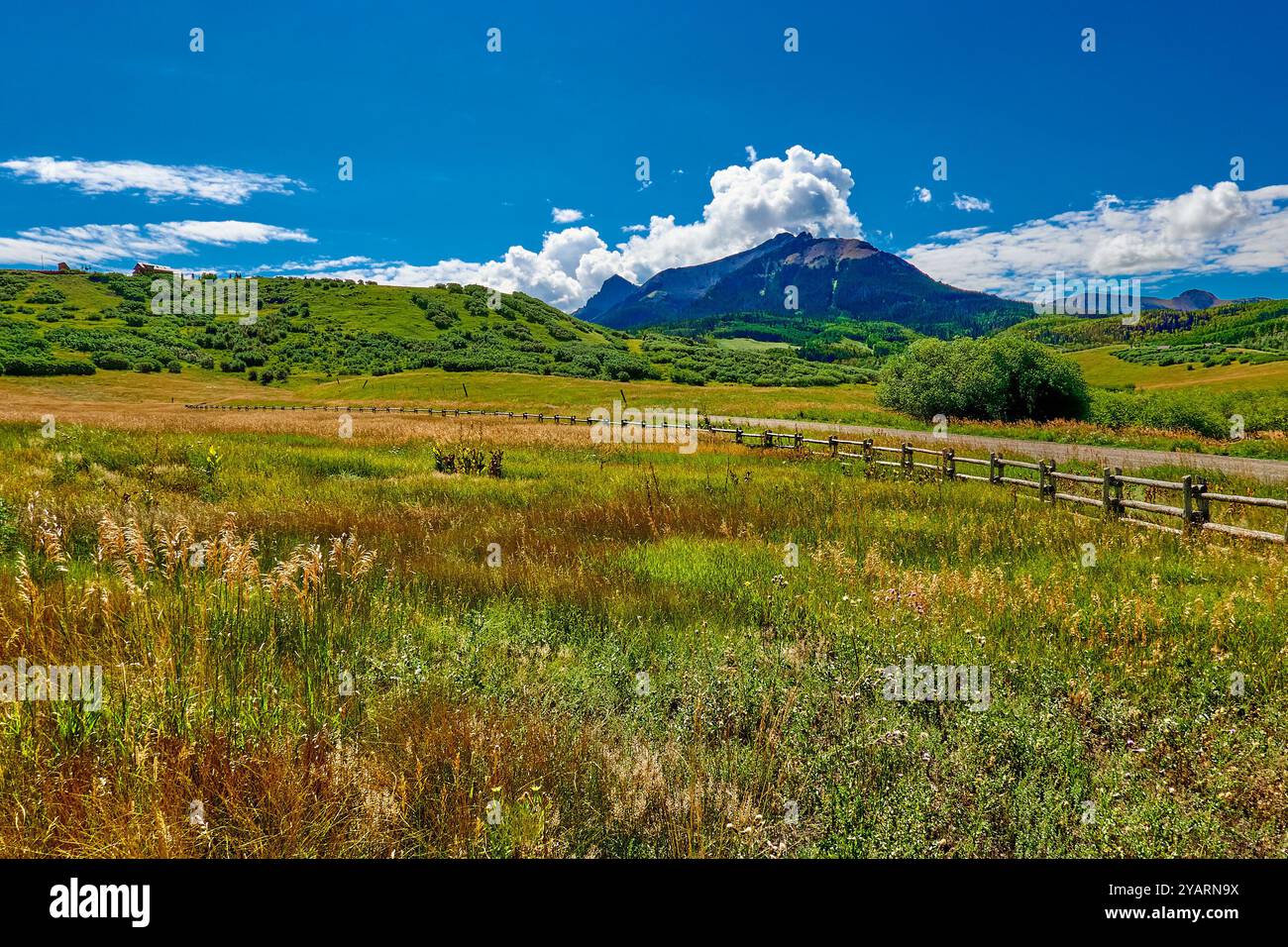 Alpine meadow with view of Mount Sneffels Range in the background Stock ...