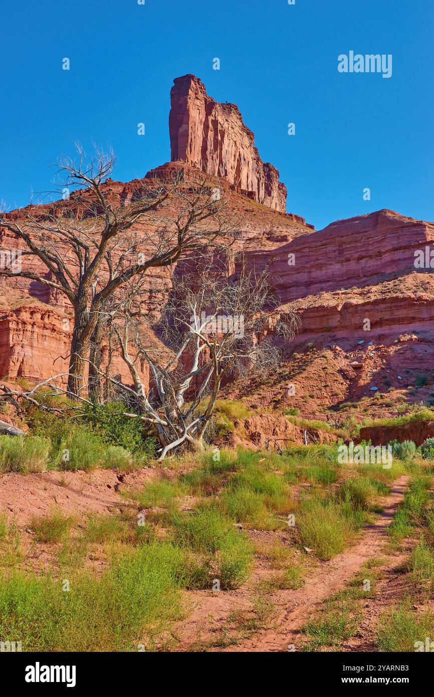 The Palisade above Gateway, CO Stock Photo - Alamy