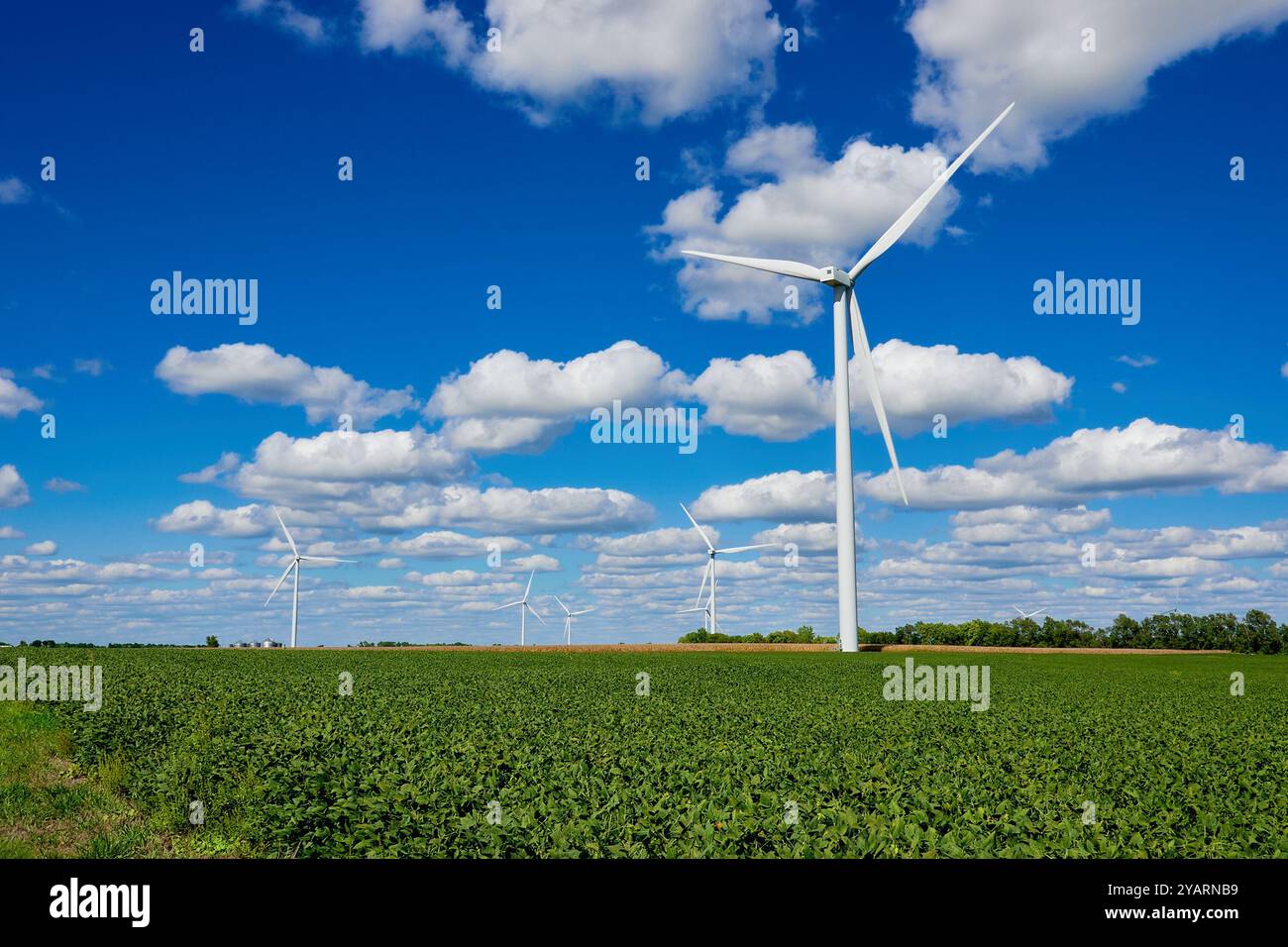 Wind turbines stand over a field of soybean plants in Missouri Stock ...