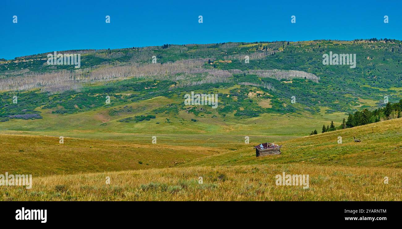 Collapsed barn sitting in an alpine field Stock Photo - Alamy