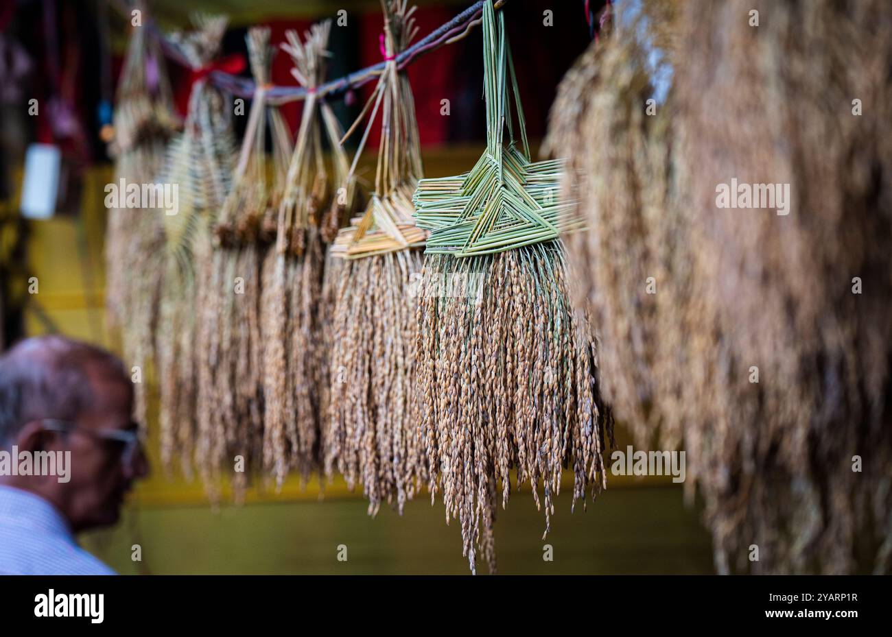 A vendor sells decorative paddy bunch on the eve of Lakshmi puja ...