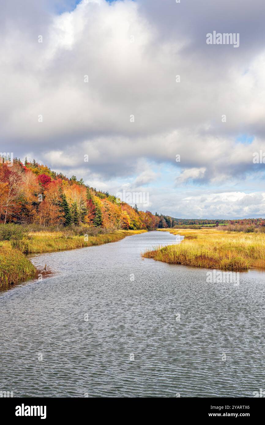 While the Cabot Trail is best known for its dramatic coast and ...