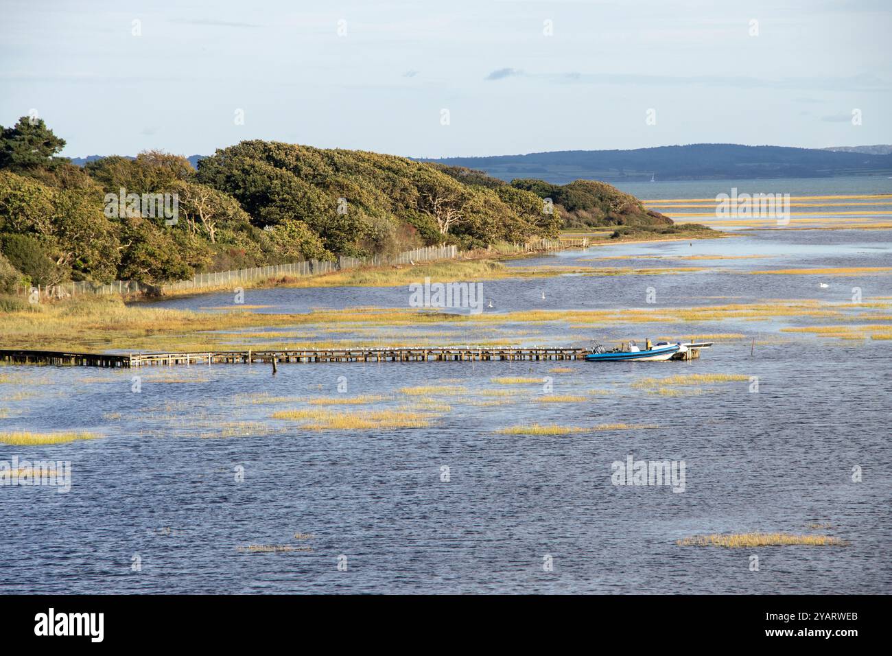 River and marshes hi-res stock photography and images - Alamy