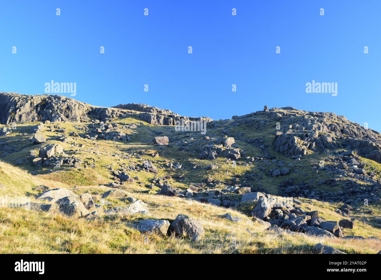 Denizens of the lake district Stock Photo - Alamy