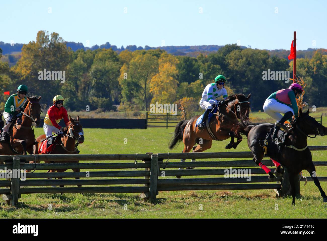 Freddie procter hi-res stock photography and images - Alamy