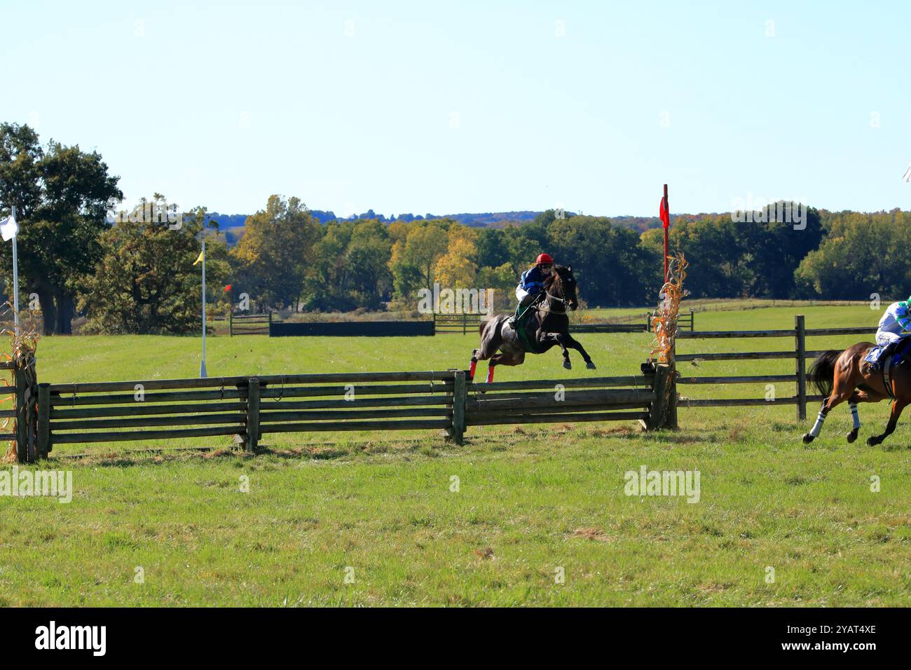 Geneseo, NY, USA - October 12th 2024 - Horse and Rider Clear A Jump ...
