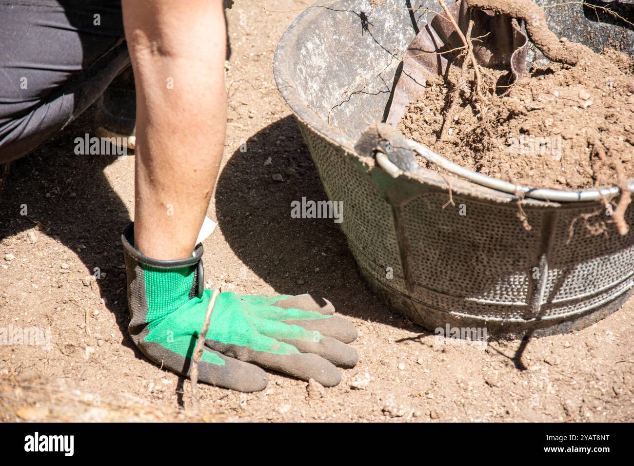 hand of an archaeologist next to a cauldron while working on an ...