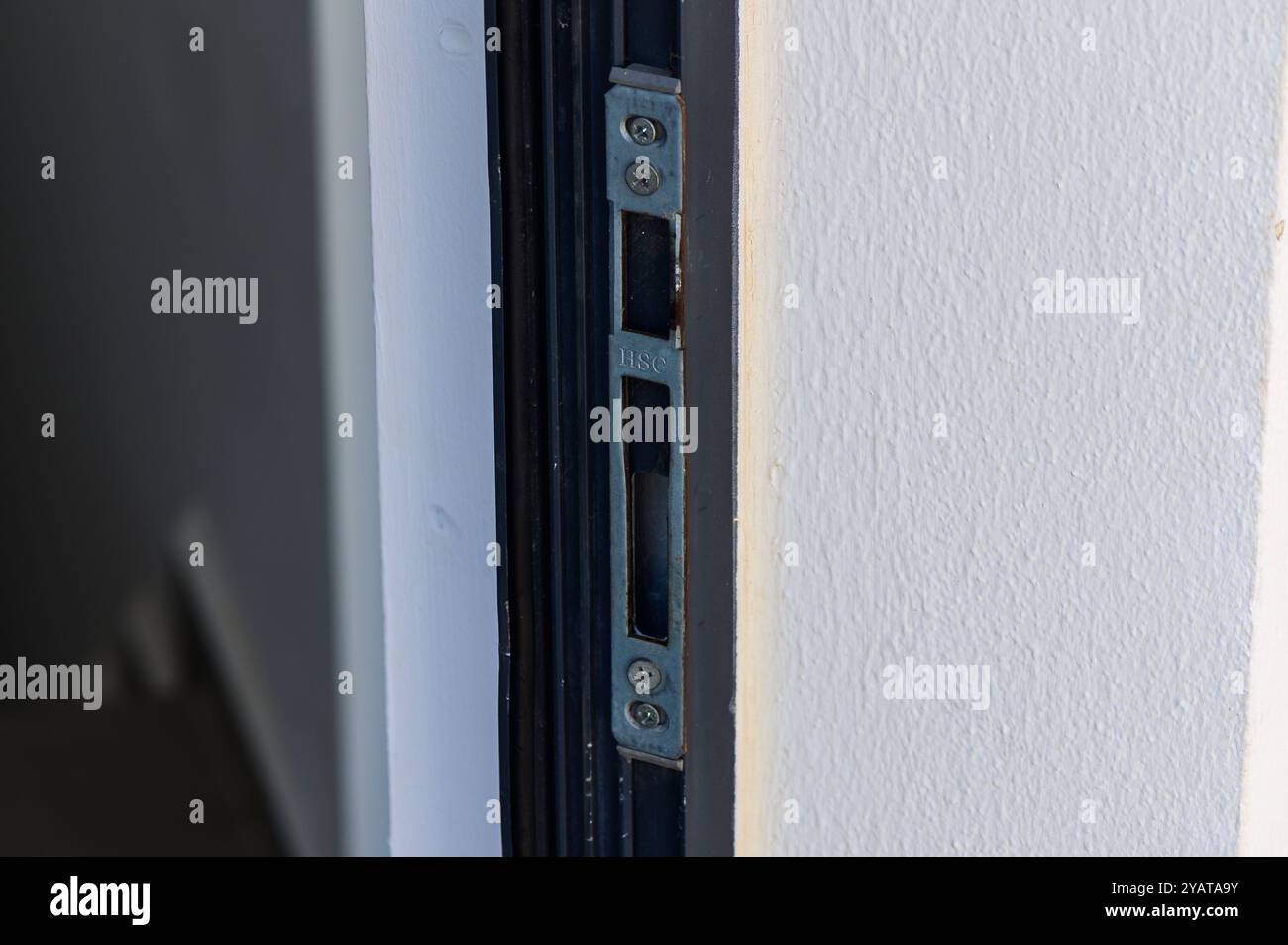 The intricately designed door lock mechanism highlights meticulous ...