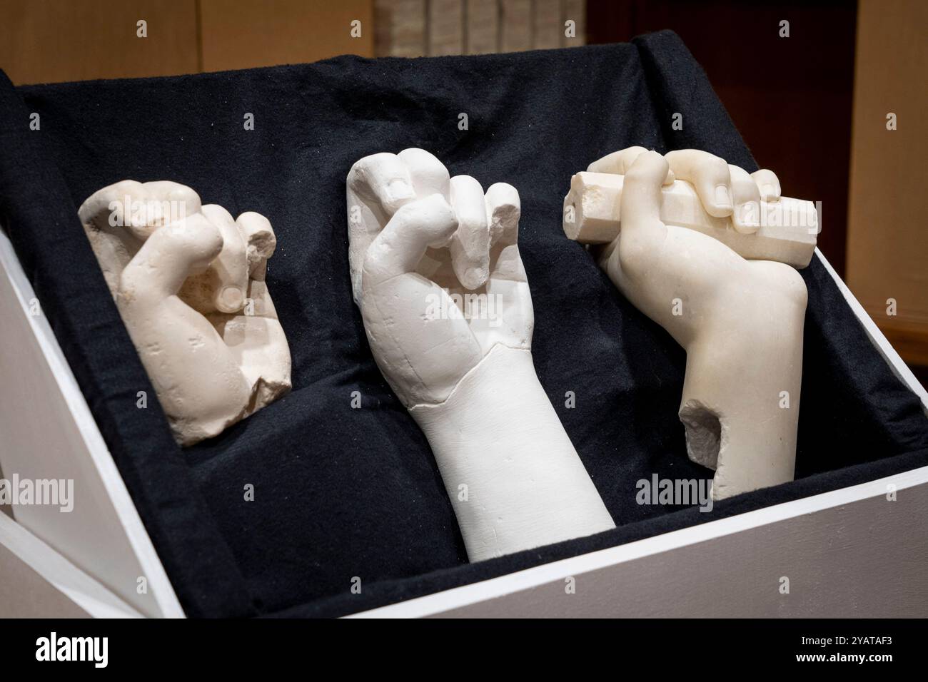 Study details for the new hand of the marble statue of "Apollo del ...