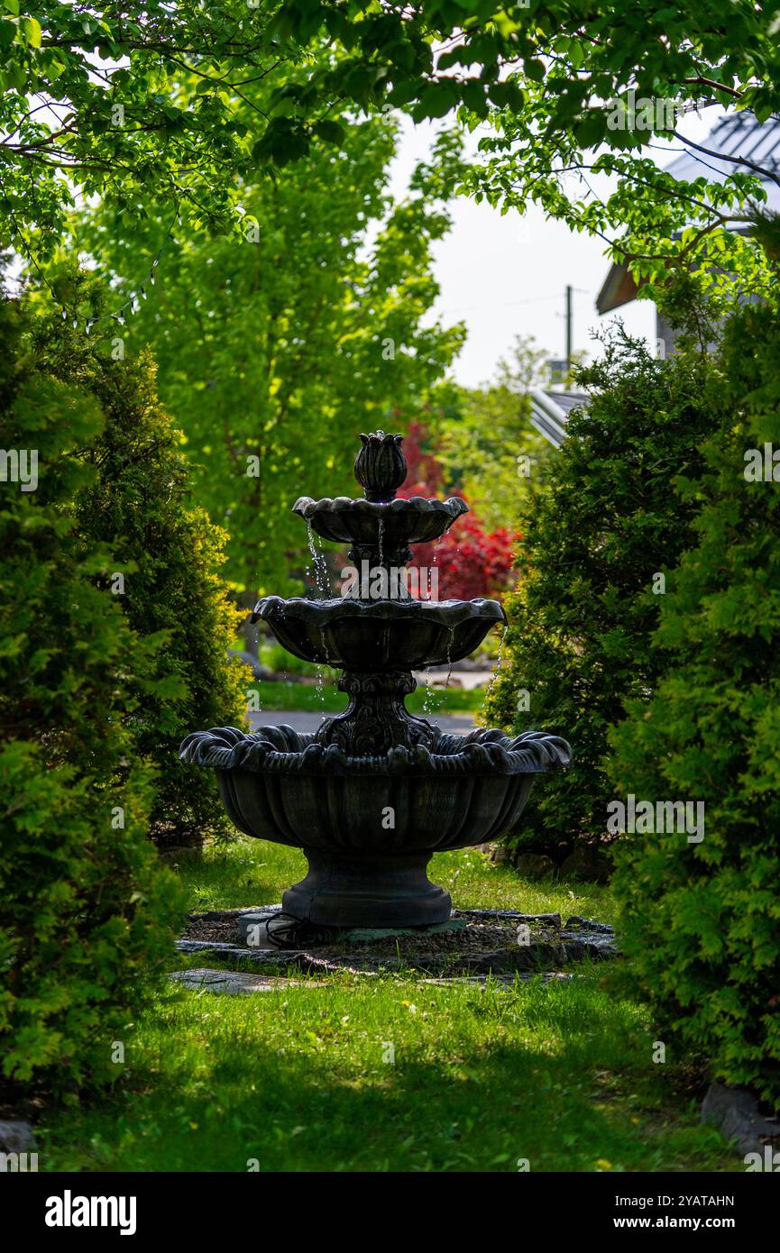 Lush garden in la hi-res stock photography and images - Alamy