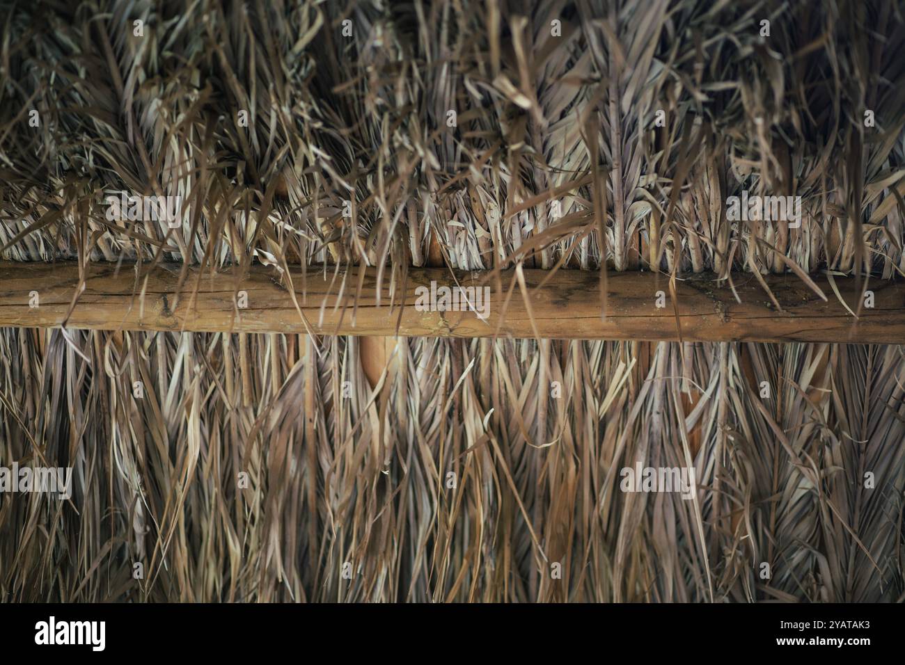 Palm tree leaves branch pattern wooden roof texture background Stock ...