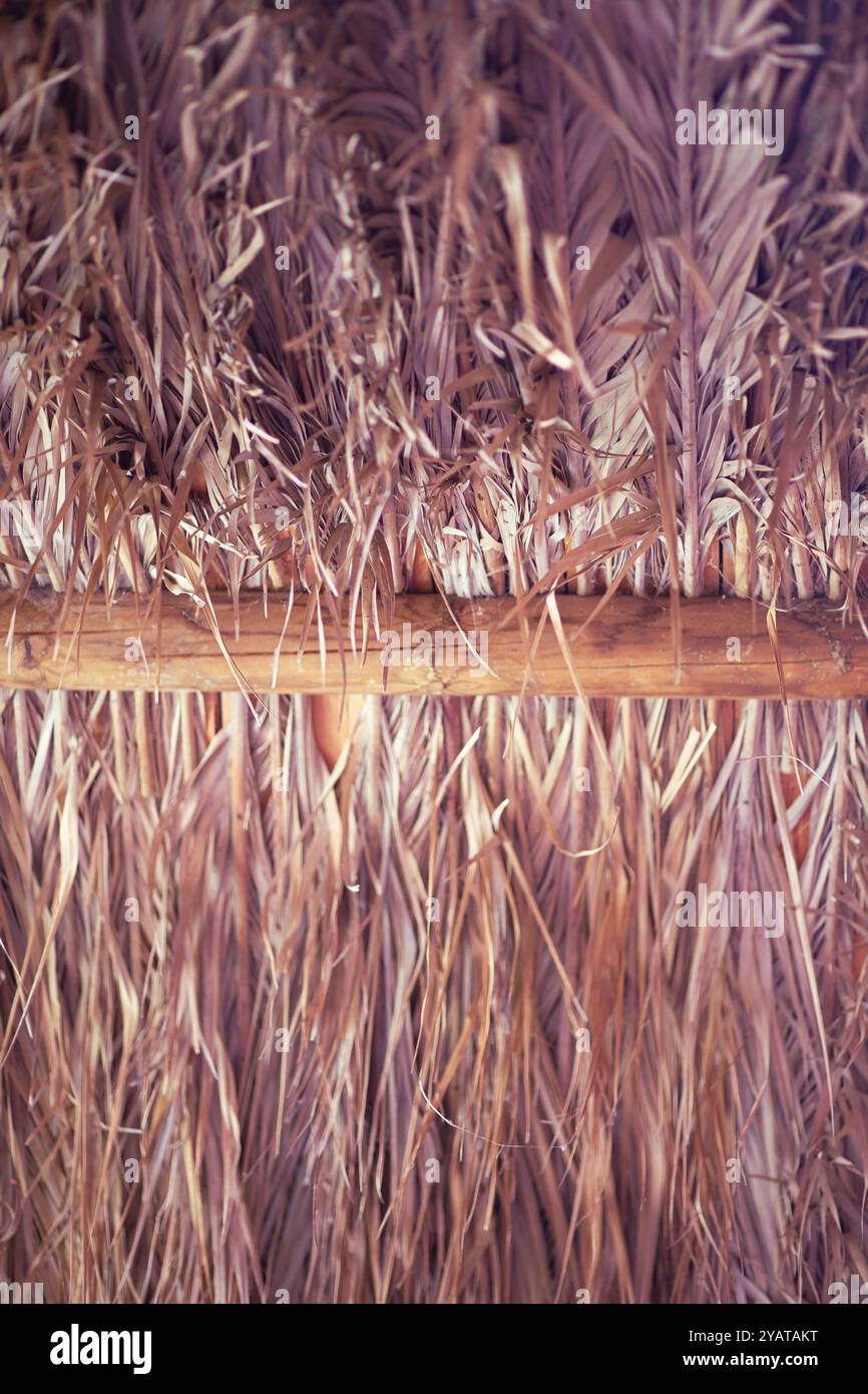Palm tree leaves branch pattern wooden roof texture background Stock ...