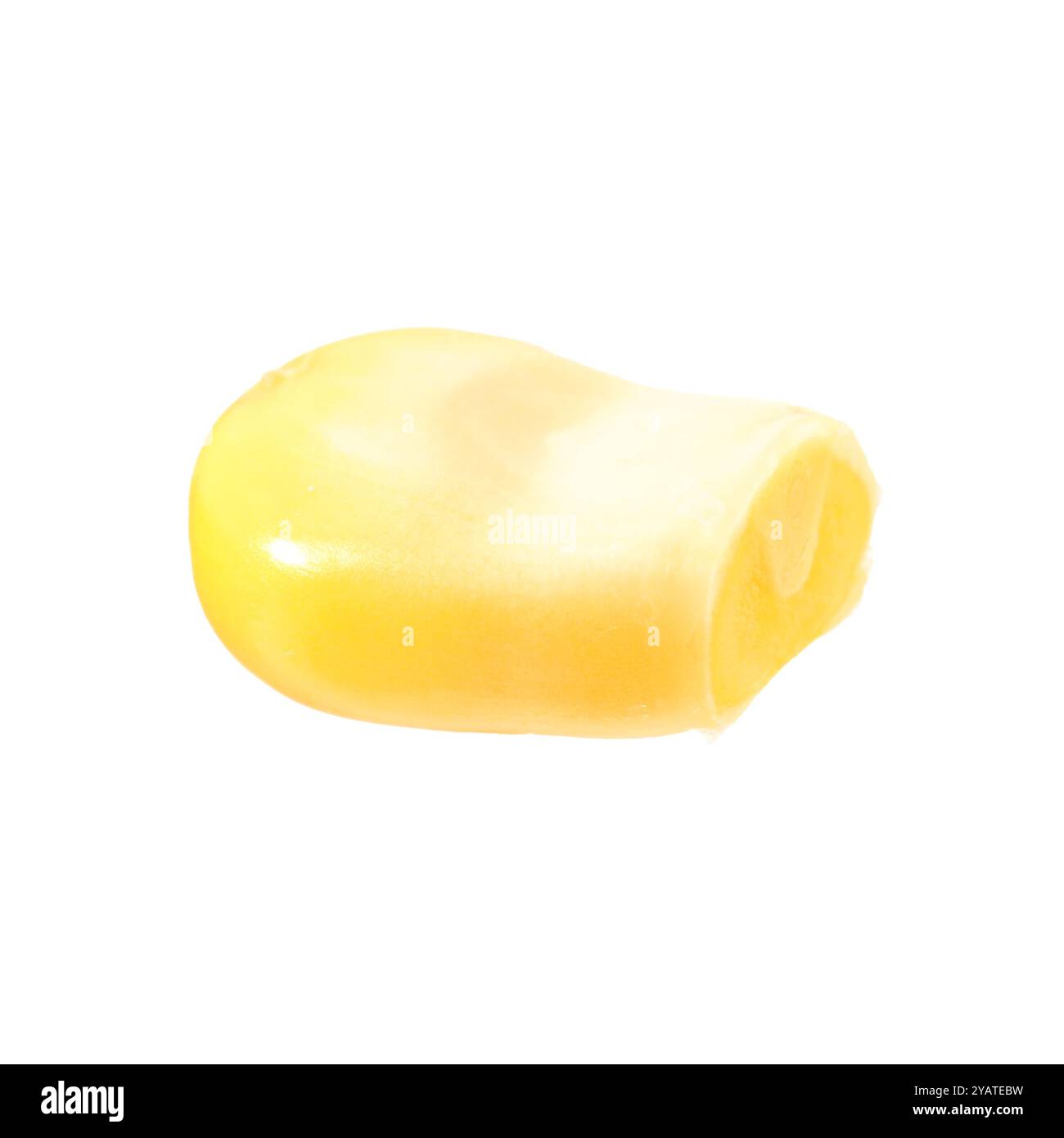 One fresh corn kernel isolated on white Stock Photo - Alamy