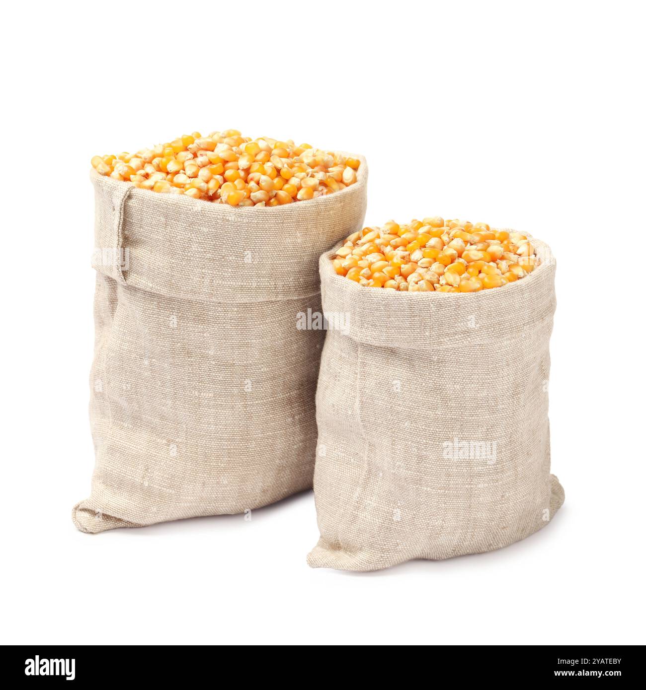 Fresh corn kernels in burlap sacks isolated on white Stock Photo - Alamy