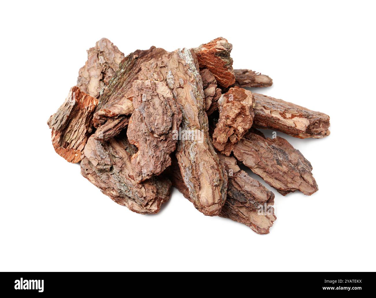 Broken tree cracked bark Cut Out Stock Images & Pictures - Alamy