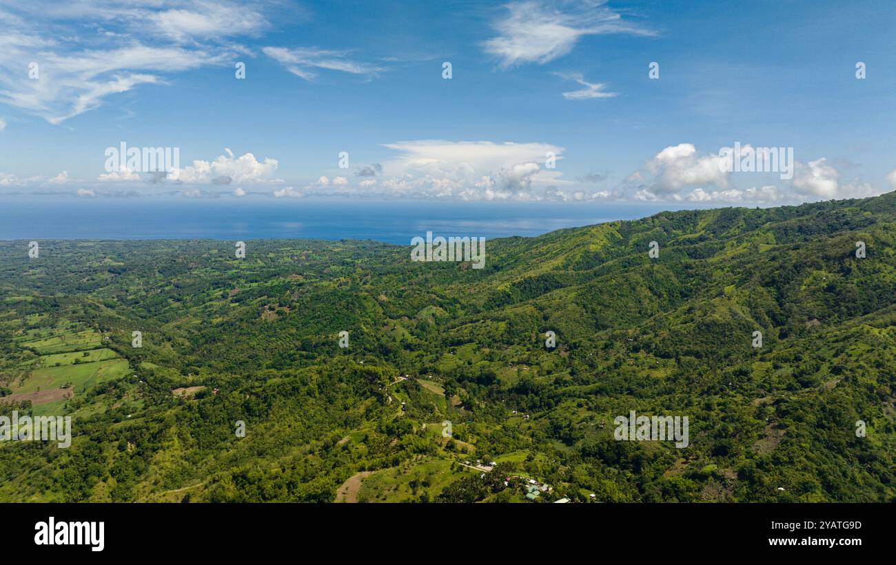 Aerial view of rural area with agricultural land and rice fields in the ...