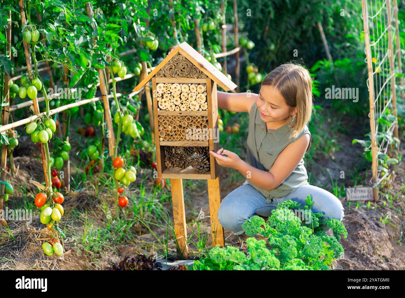 Bug hotel insect house child hi-res stock photography and images - Alamy