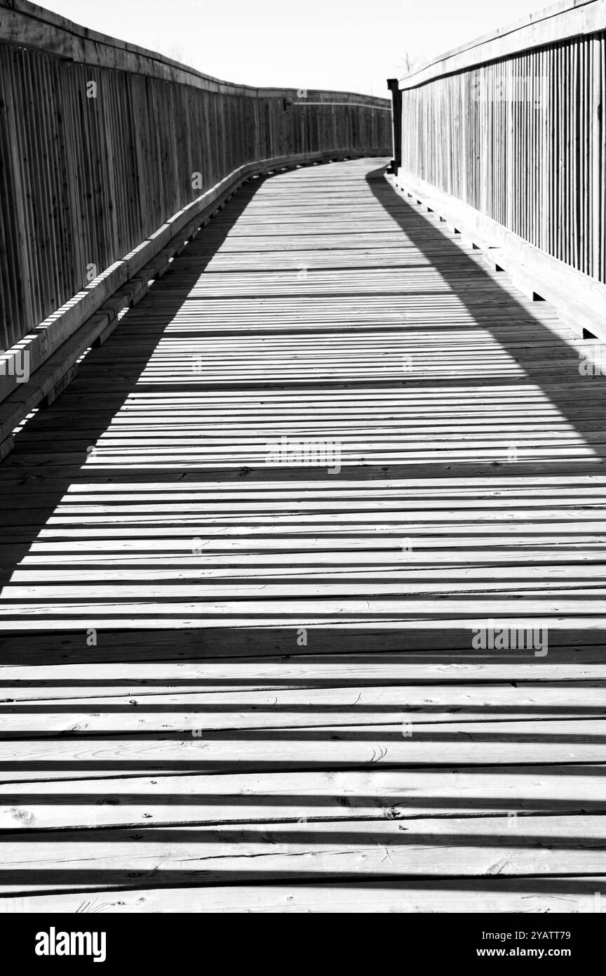 Black and White Wooden Walkway with Shadows from the Railing Creating a ...