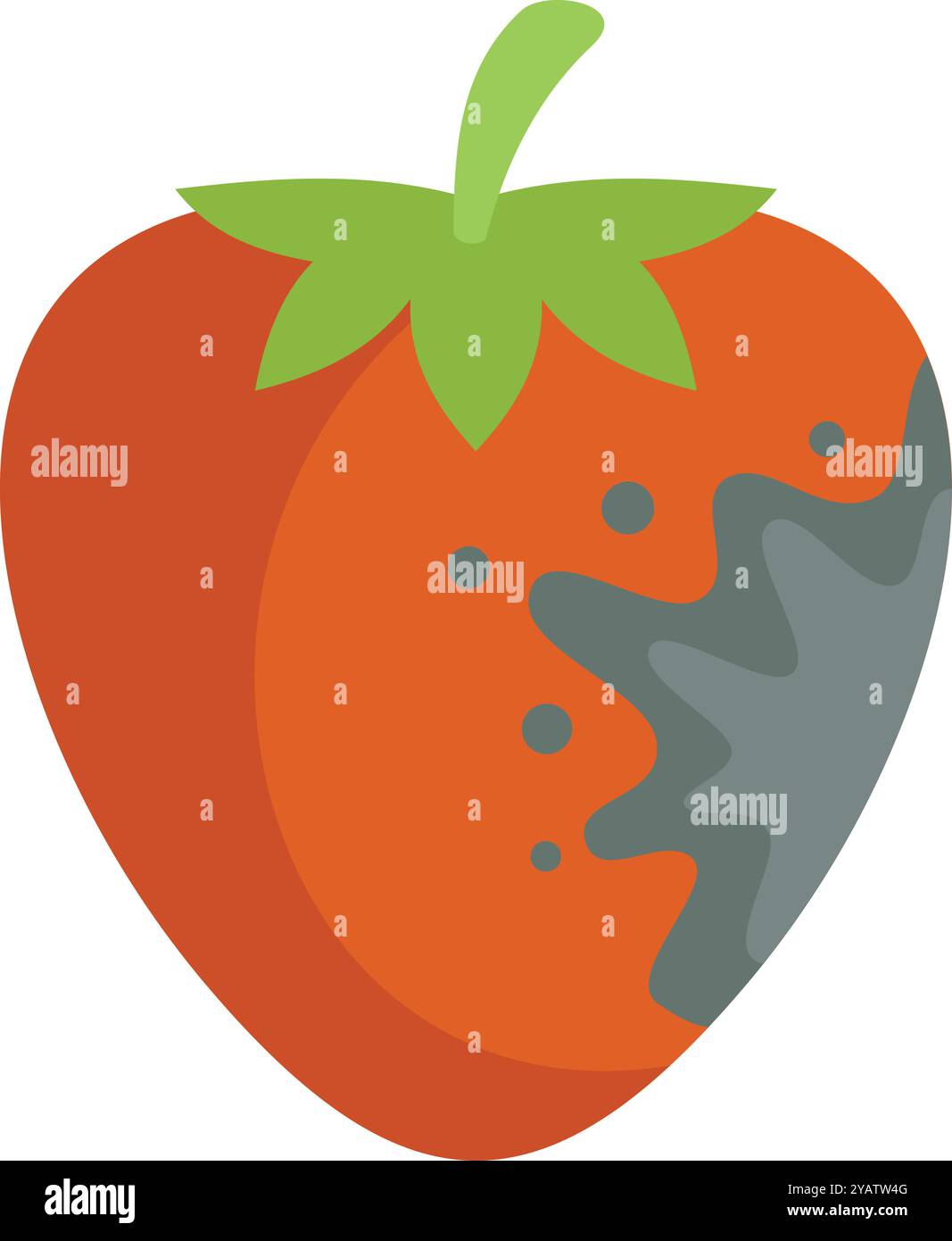 Red strawberry is becoming rotten with mold growing on it Stock Vector ...