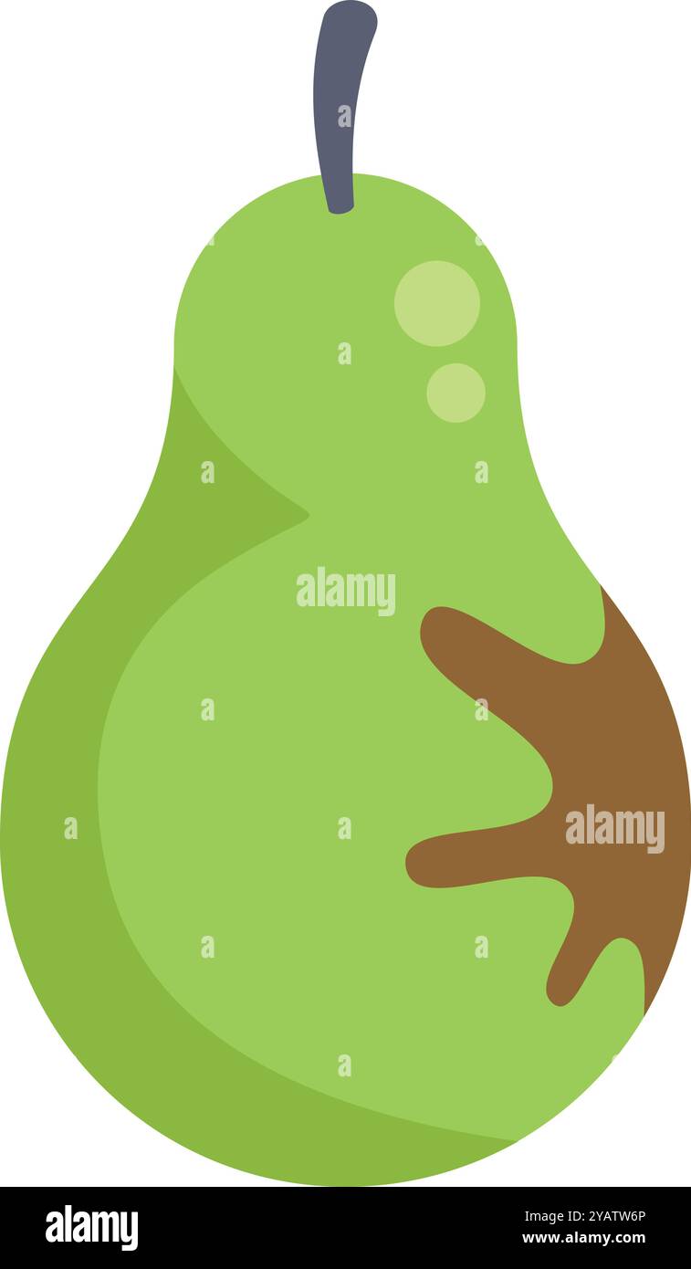 Green pear with a brown bruise, depicting the beginning of the rotting ...