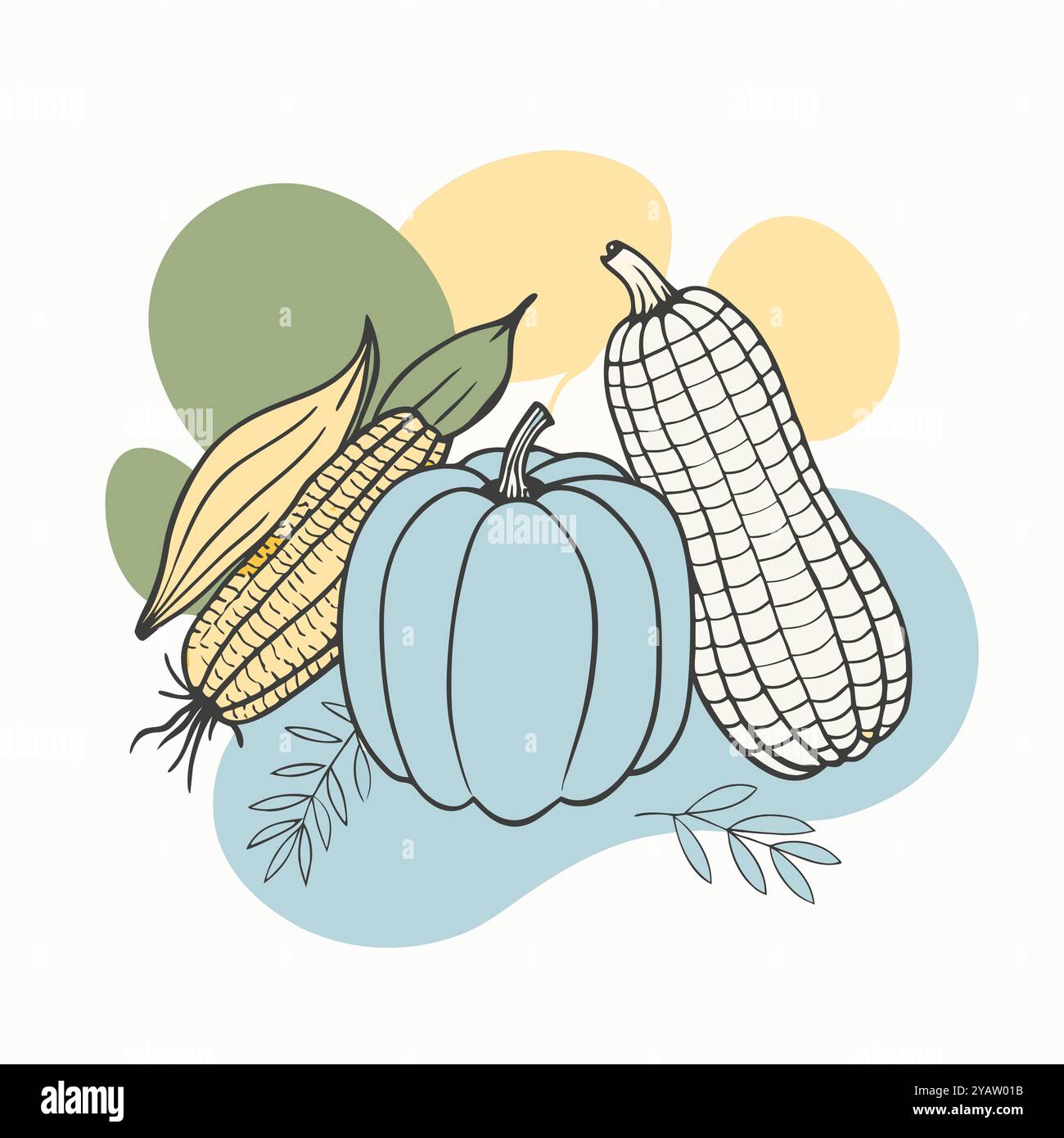 Fresh harvest corn on Stock Vector Images - Alamy
