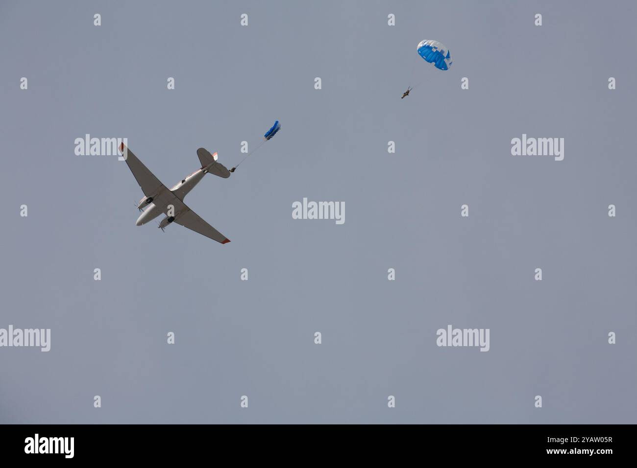 First jumper's chute is fully open, second jumper's chute starts to ...