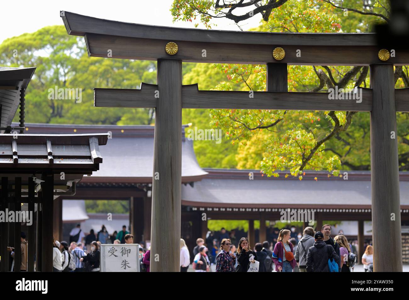 The historic Meiji Shrine inner precinct, Tokyo Shibuya JP Stock Photo ...
