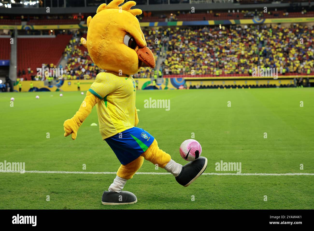 15th October 2024: Garrincha Stadium, Brasília, Brazil: FIFA World Cup ...