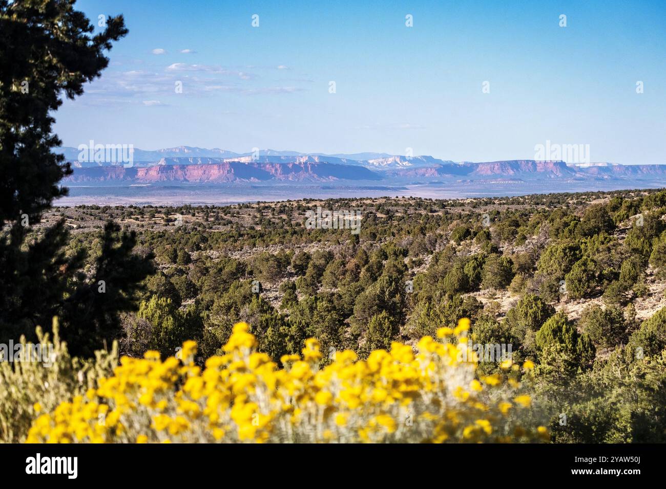 Red cliffs at Kanab, Utah, seen from the Kaibab Plateau in northern ...