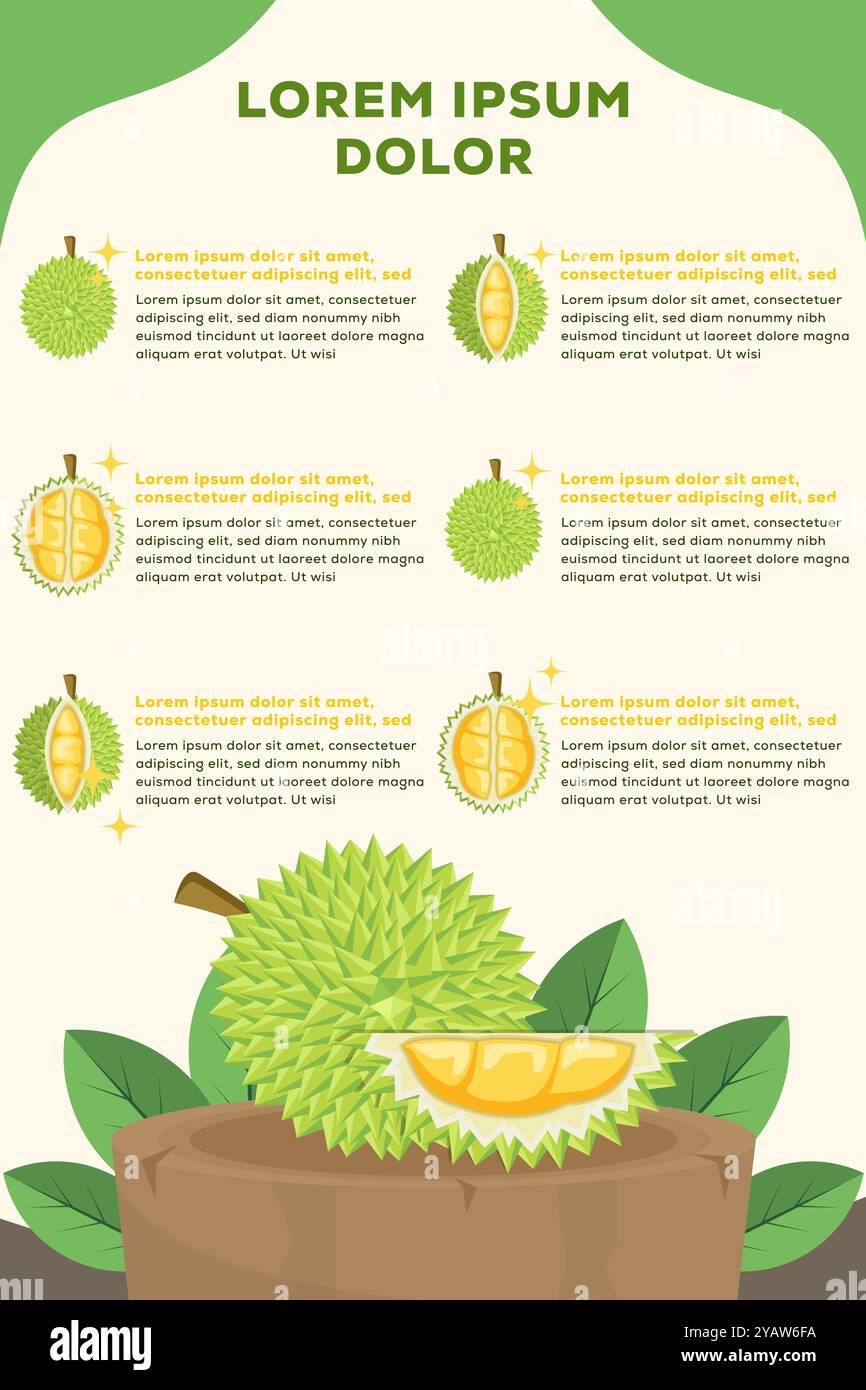 durian infographic illustration design template in flat style Stock ...