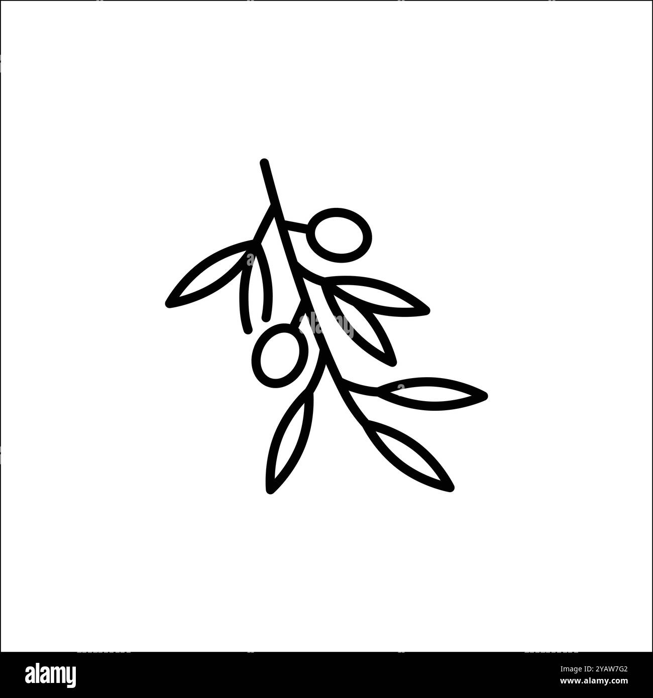 Olive branch icon Stock Vector Image & Art - Alamy