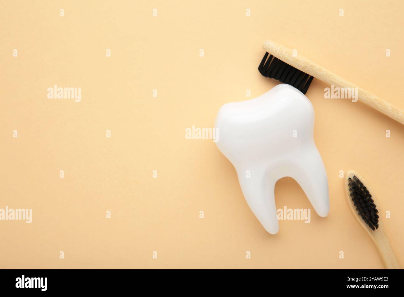 White healthy tooth model and toothbrushes on beige background. Dental ...