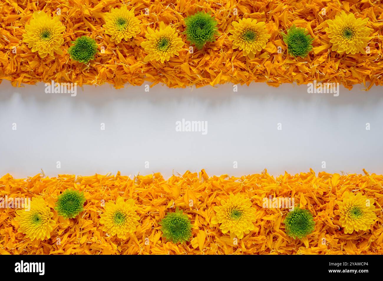 Decorative orange color marigold flower petals rangoli with ...