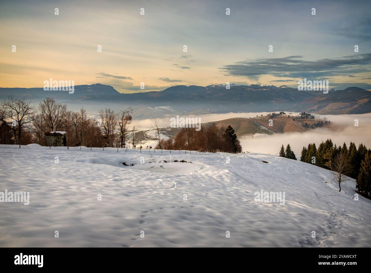 Mountain landscape, inside the forest with snow and the sun passing ...
