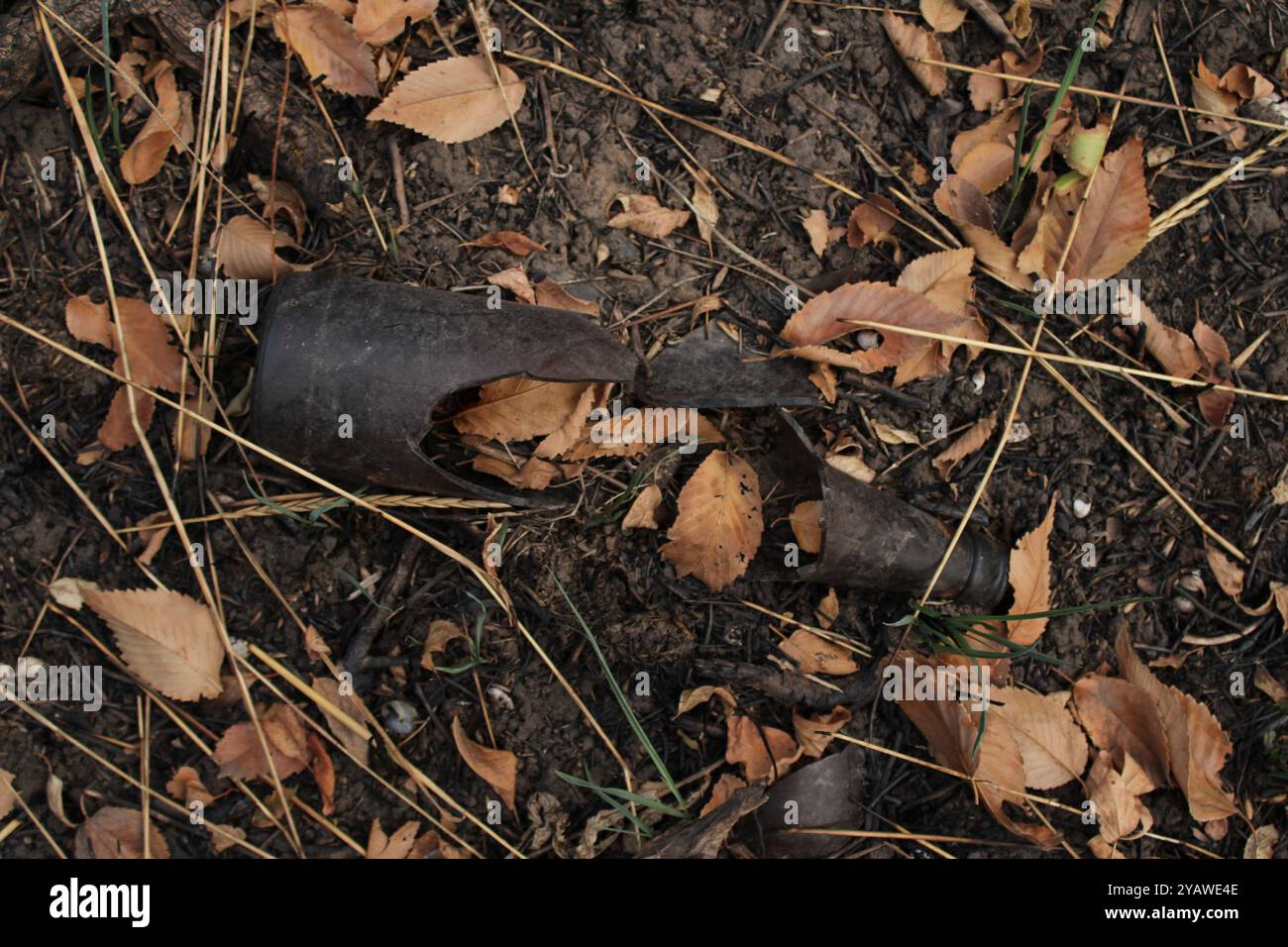 A broken bottle lies on the ground amidst autumn leaves, scattering its ...