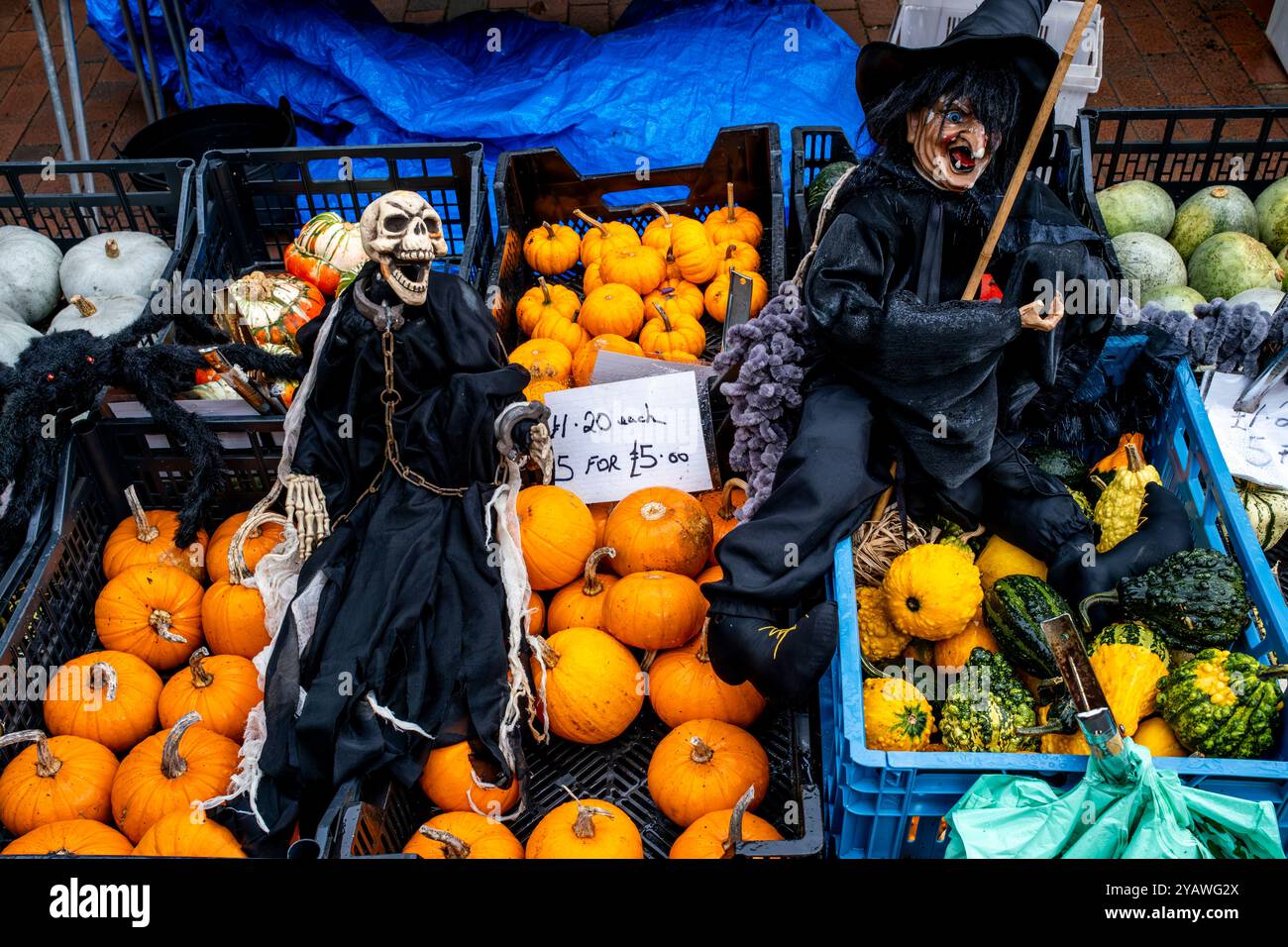 A Display of Pumpkins and Squashes On A Market Stall With Scary ...