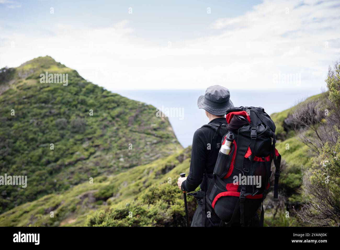 Hiking the Cape Brett Walkway. Bay of Islands. New Zealand Stock Photo ...