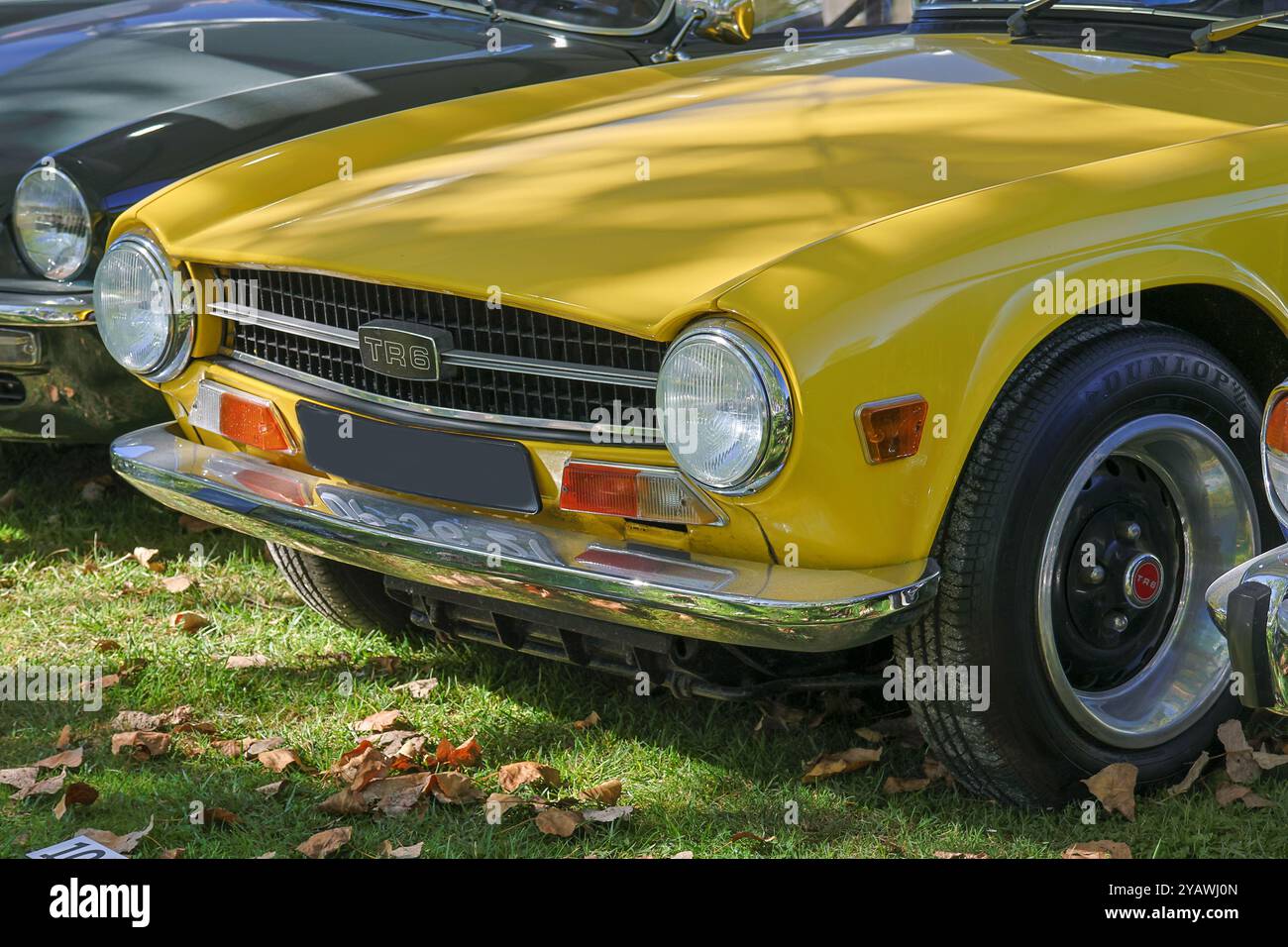 Yellow triumph tr6 parked on grass showing front and headlight Stock ...