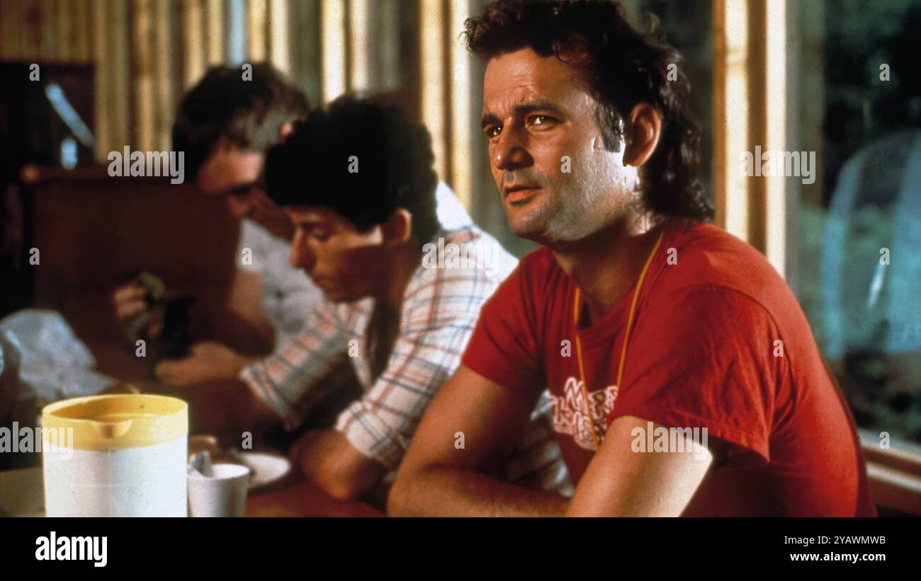 Meatballs Year : 1979 USA Director : Ivan Reitman Bill Murray Stock ...